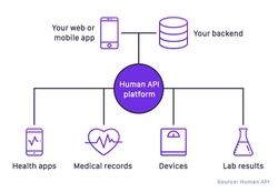 Best Healthcare APIs to Enhance your Software Security - Dashbouquet